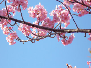 2025-03-16: きまぐれ SILENT-BEAT